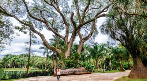 Explora el Jardín Botánico de Bogotá: Naturaleza en Pleno Corazón de la ...
